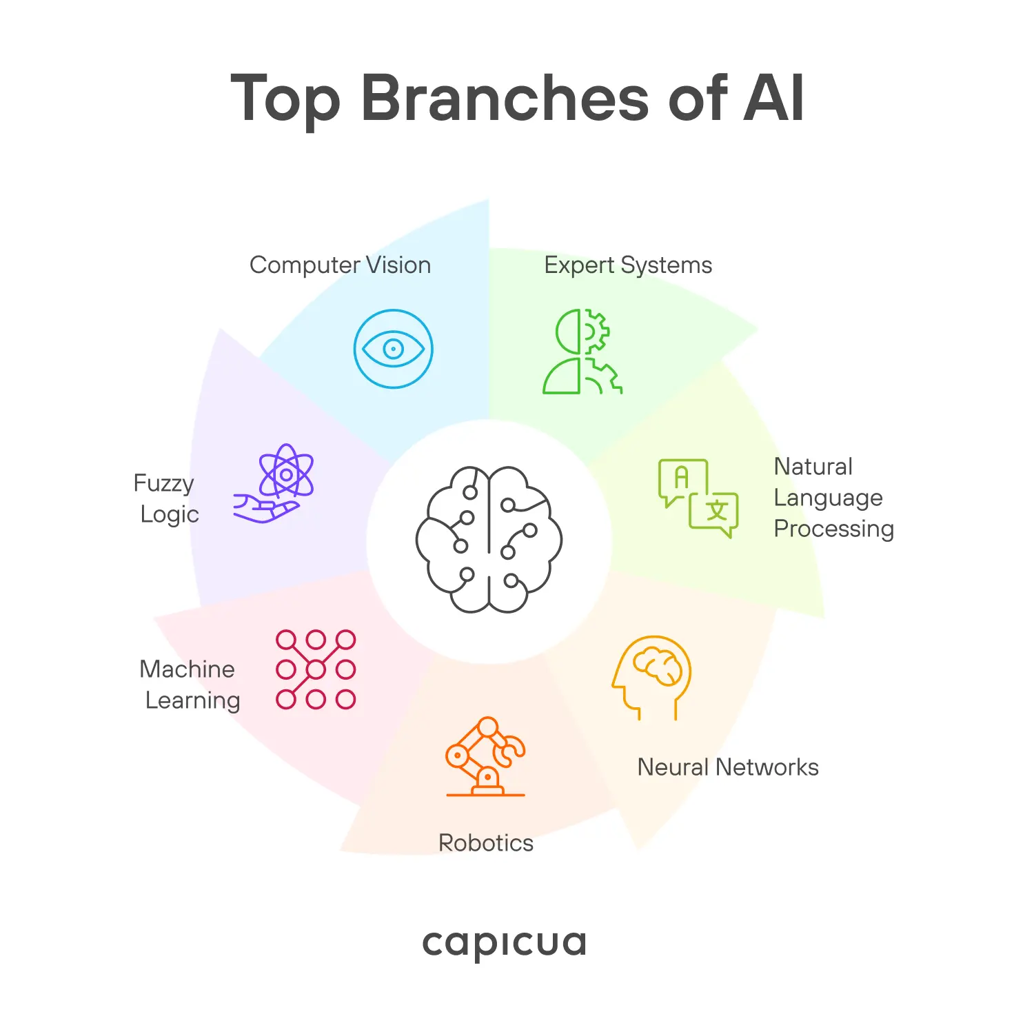 The 7 Major Branches of AI